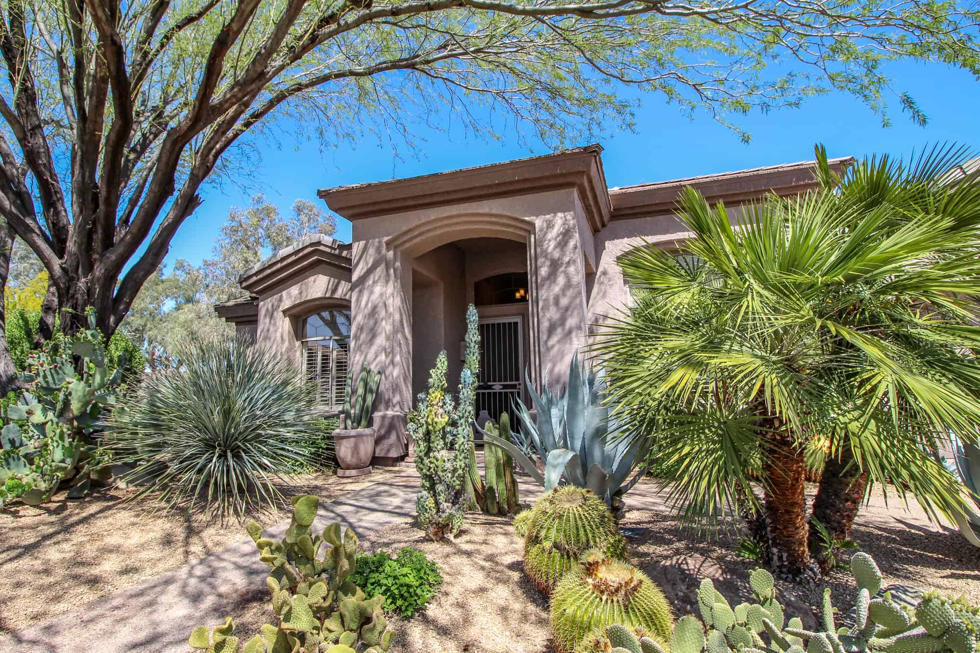 Front Yard Desert Landscaping Ideas On A Budget